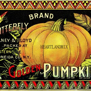 Pumpkin Brand Vintage Label, Logo, Hang Tags,transfers Digital Image ...