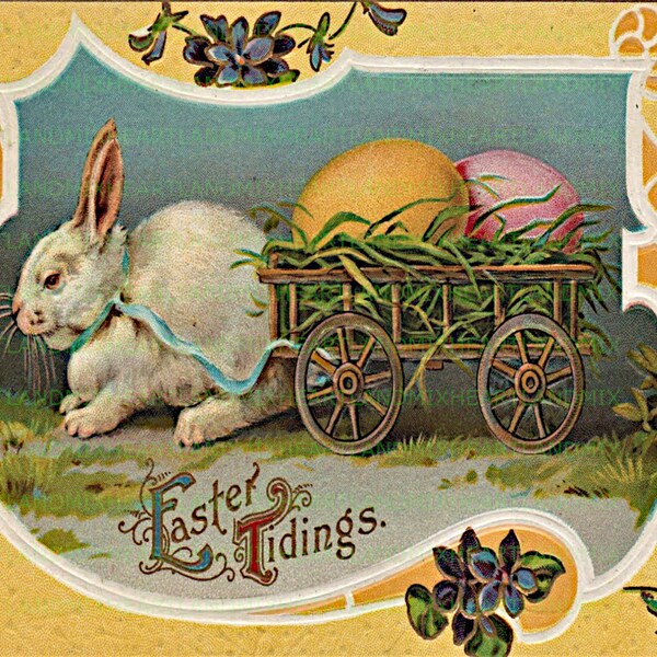 Rabbit Postcard - Etsy