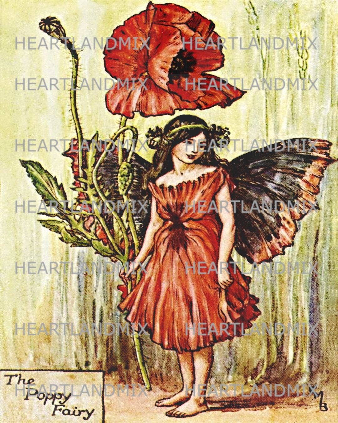 Vintage Poppy Fairy Digital Graphic Image Download Printable - Etsy