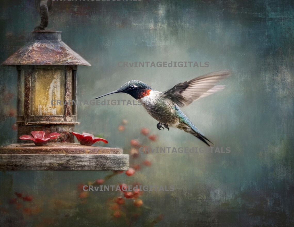 Rustic Hummingbird Decoupage Rice Paper: A4 Craft Image - Etsy