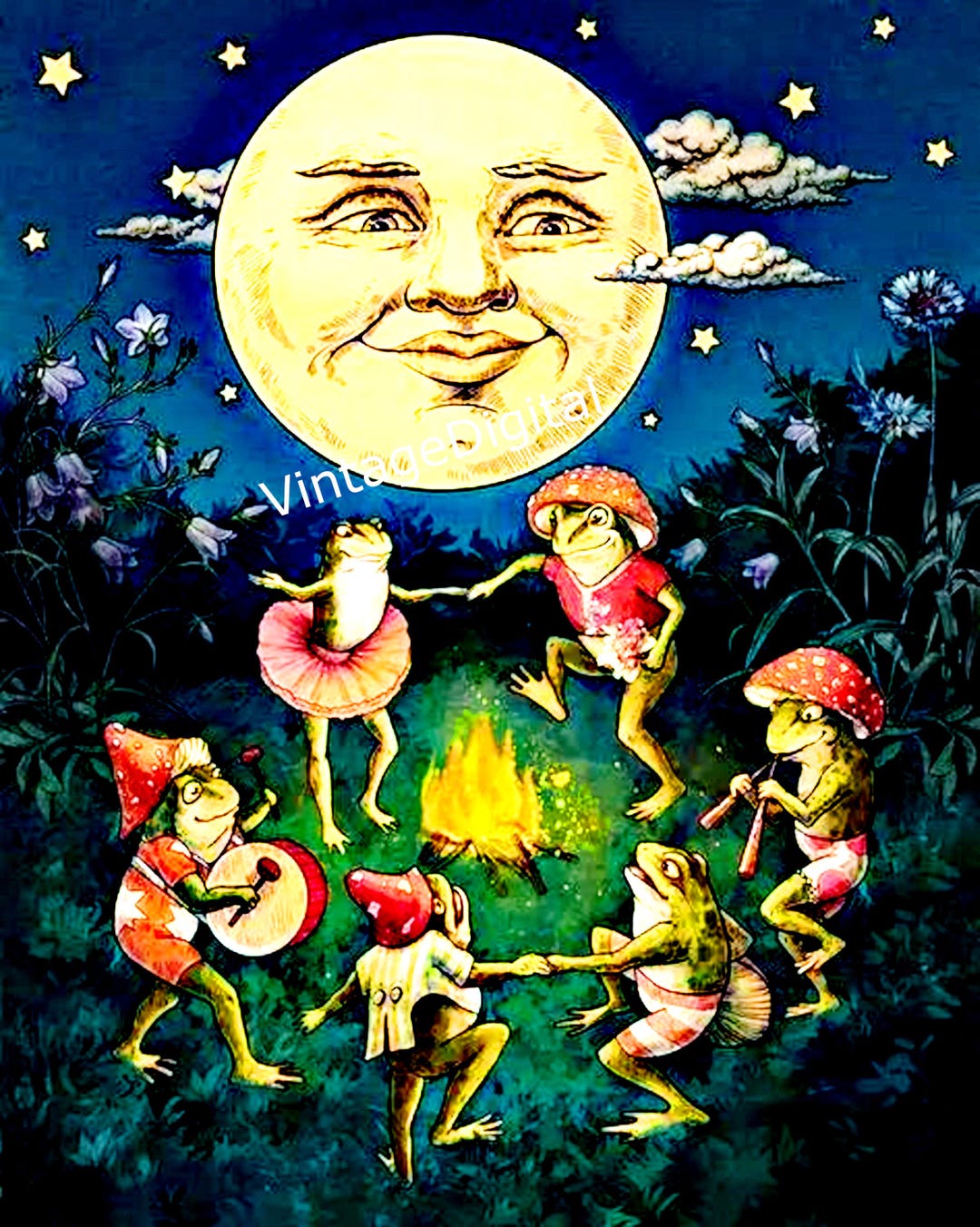 Vintage Dance of the Frogs Under the Full Moon Illustration Digital ...