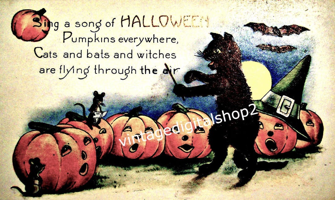 Black Cat and Pumpkins With Halloween Greetings Vintage Digital Image ...