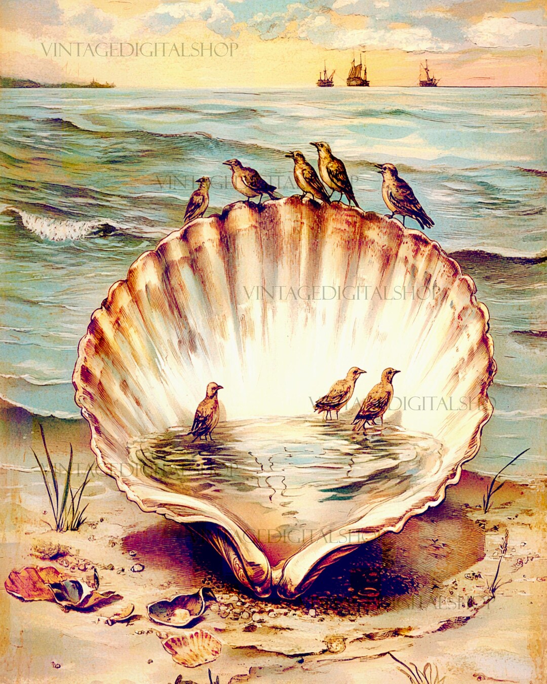 Birds Drinking From Seashell Nautical Digital Image Art Download ...