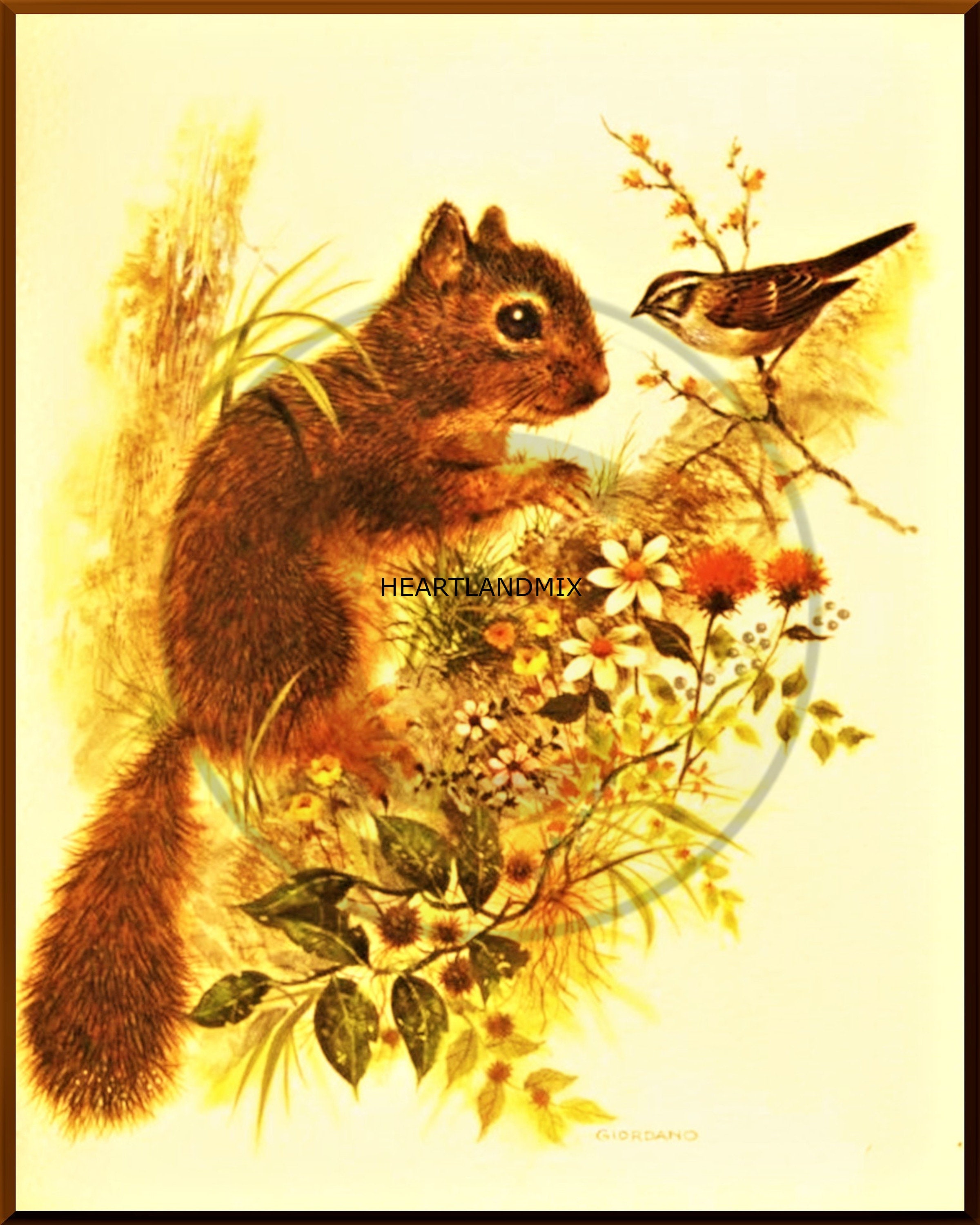 Vintage Squirrel Art