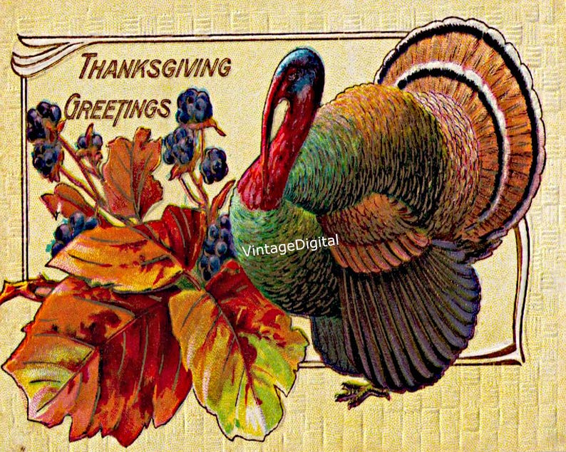 Happy Thanksgiving Turkey Vintage Image Wall Art Download Printable - Etsy