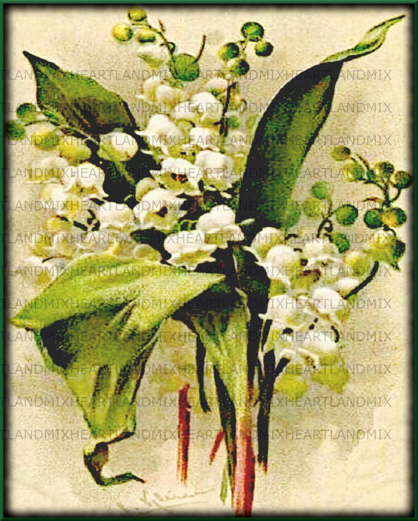Antique Vintage Floral Lily of the Valley Digital Image - Etsy