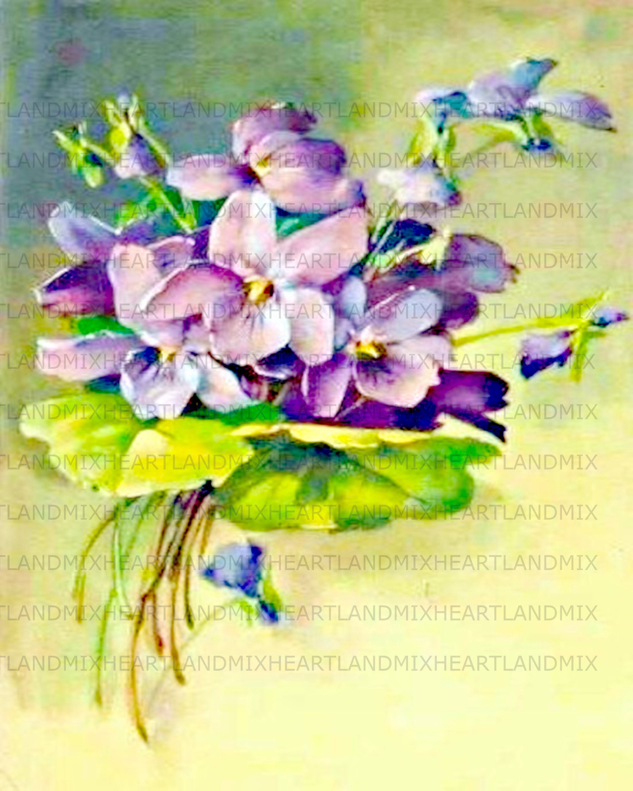Floral Purple Violets Download Printable Graphic Art Digital - Etsy