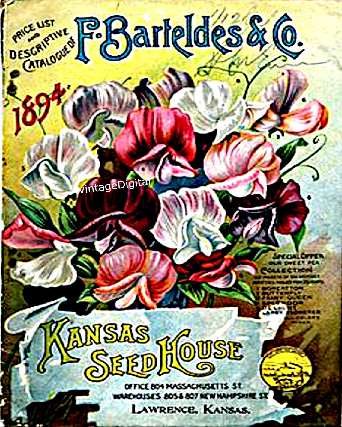 Vintage Seeds F.barfeldes Kansas Seed House 1894, Art Download ...