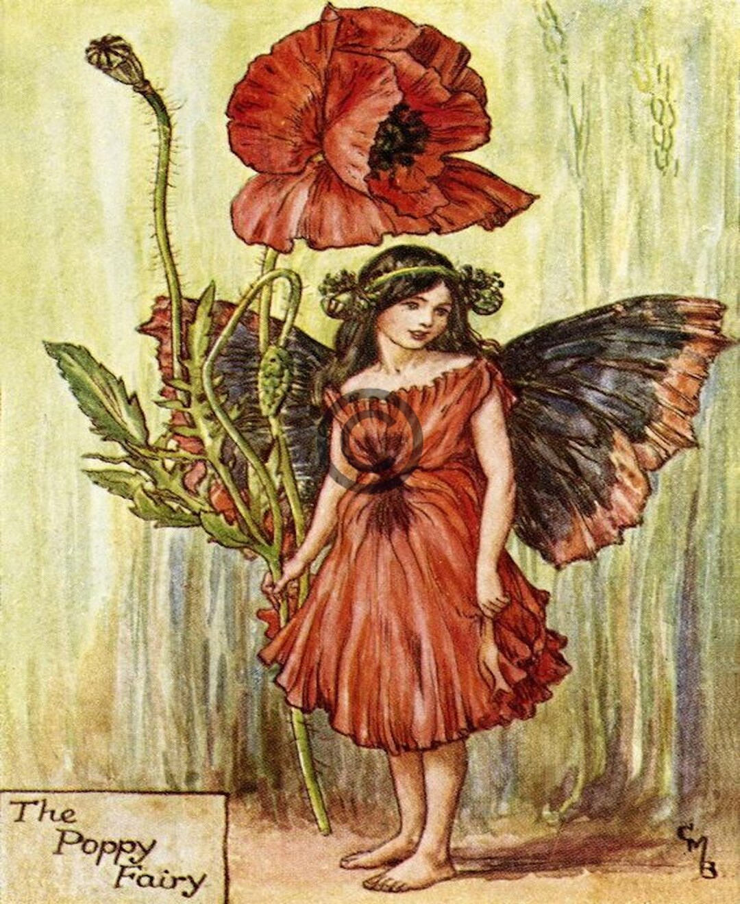 Vintage Poppy Fairy Digital Graphic Image Download Printable - Etsy