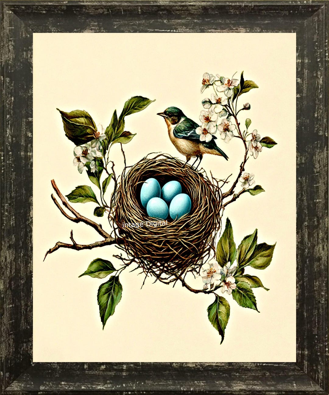 Spring Bird's Nest Printable Digital Farmhouse Download Wall Art ...