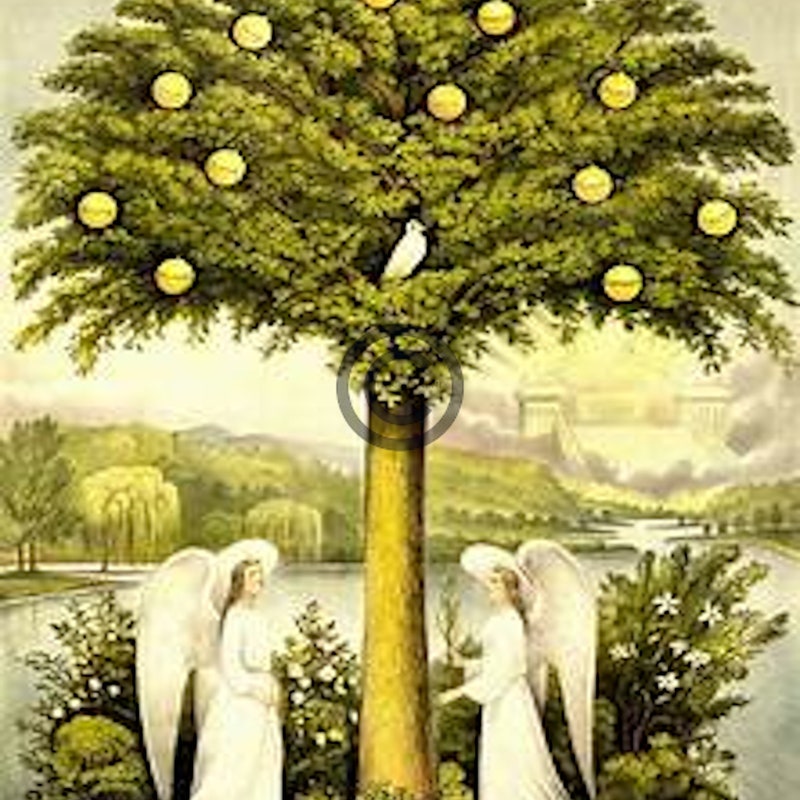 Partridge Pear Tree - Etsy