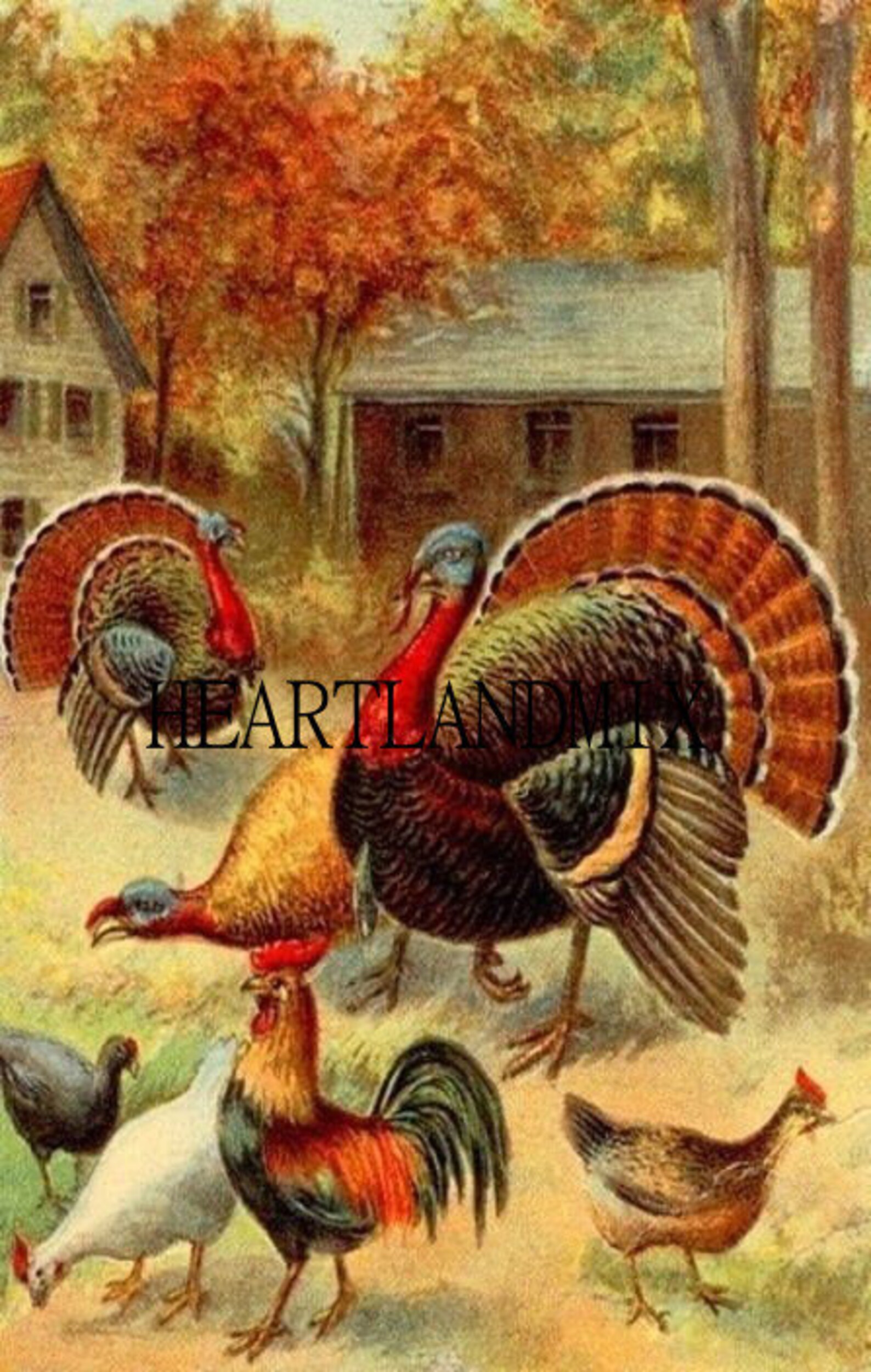 Happy Thanksgiving Turkey Vintage Image Digital Download - Etsy