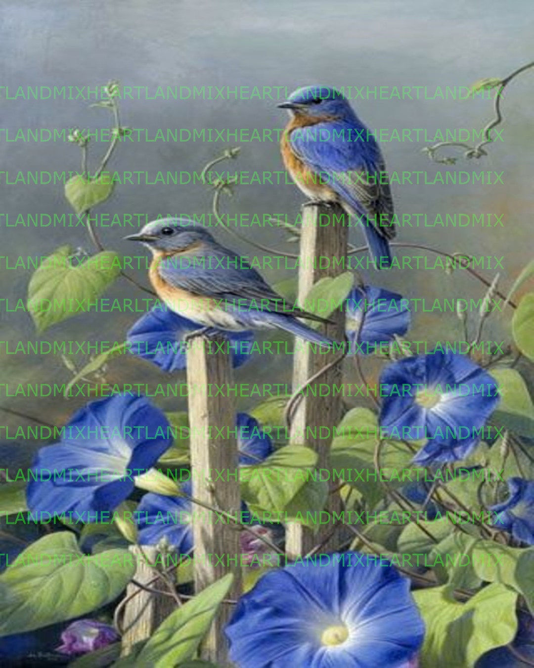 Vintage Bluebird Wall Art Image - Etsy