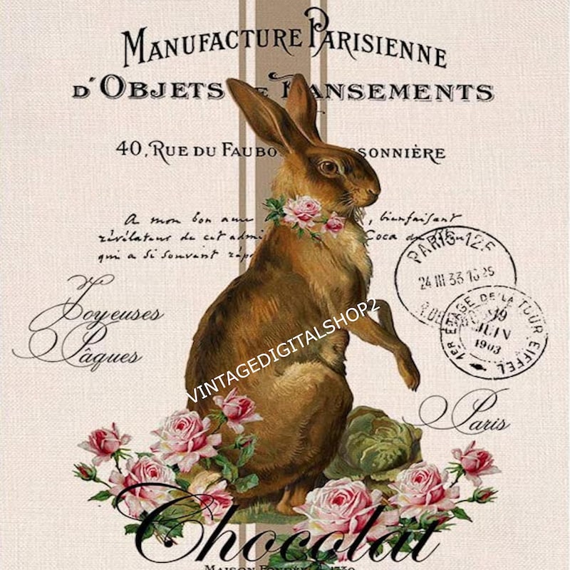 French Rabbit - Etsy