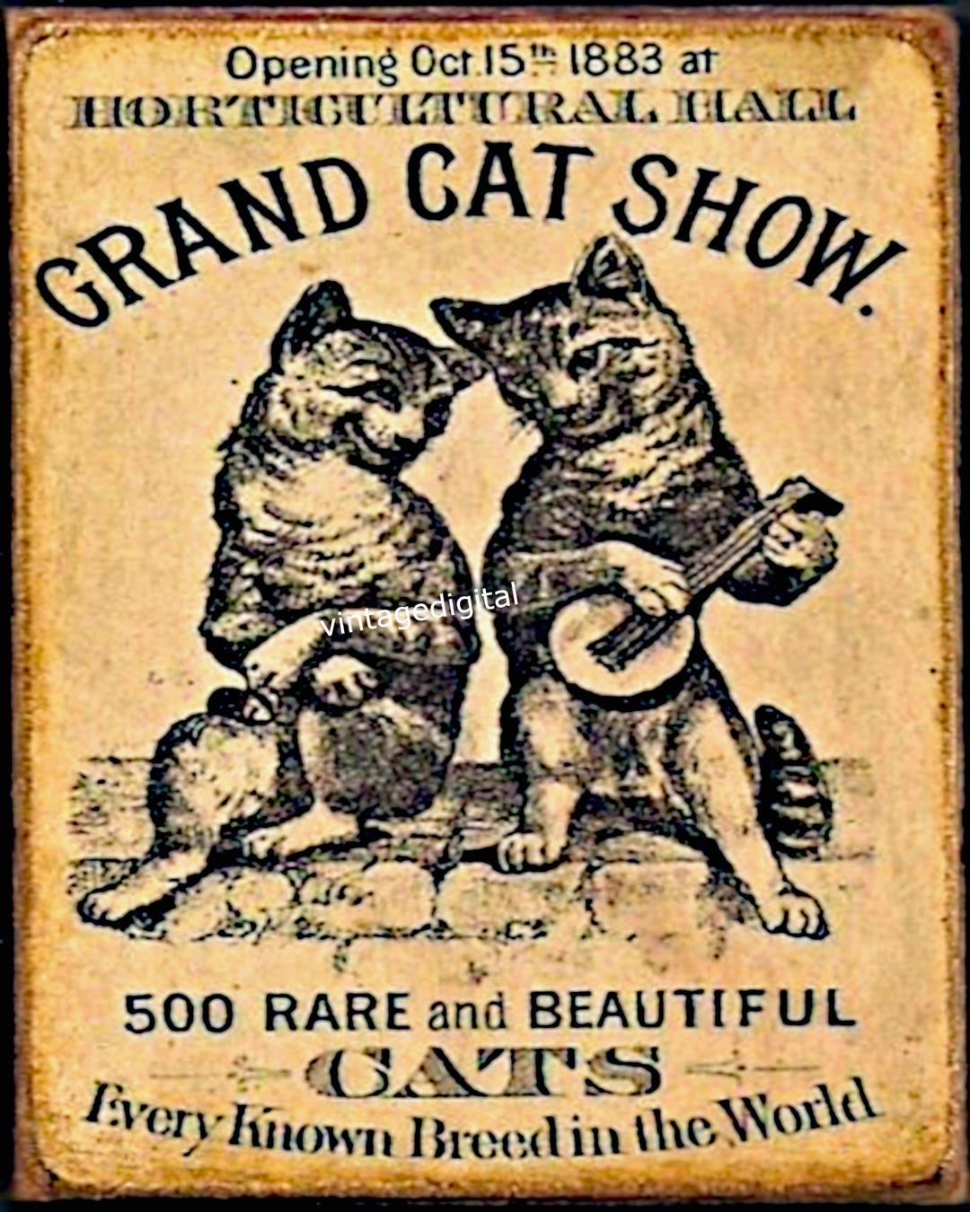 Vintage 1883 Grand Cat Show Printable Graphic (digital Download) - Etsy