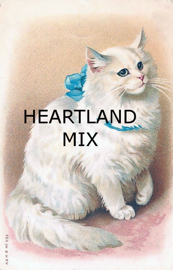 Vintage White Cat Digital Graphic Image Download Printable | Etsy