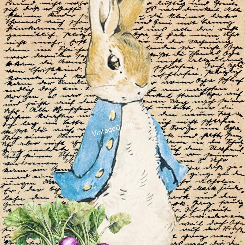Peter Rabbit Rice Paper - Etsy