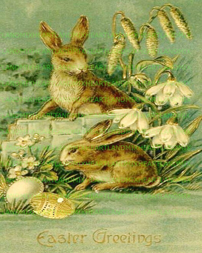 Vintage Easter Rabbits Digital Image Download Printable - Etsy