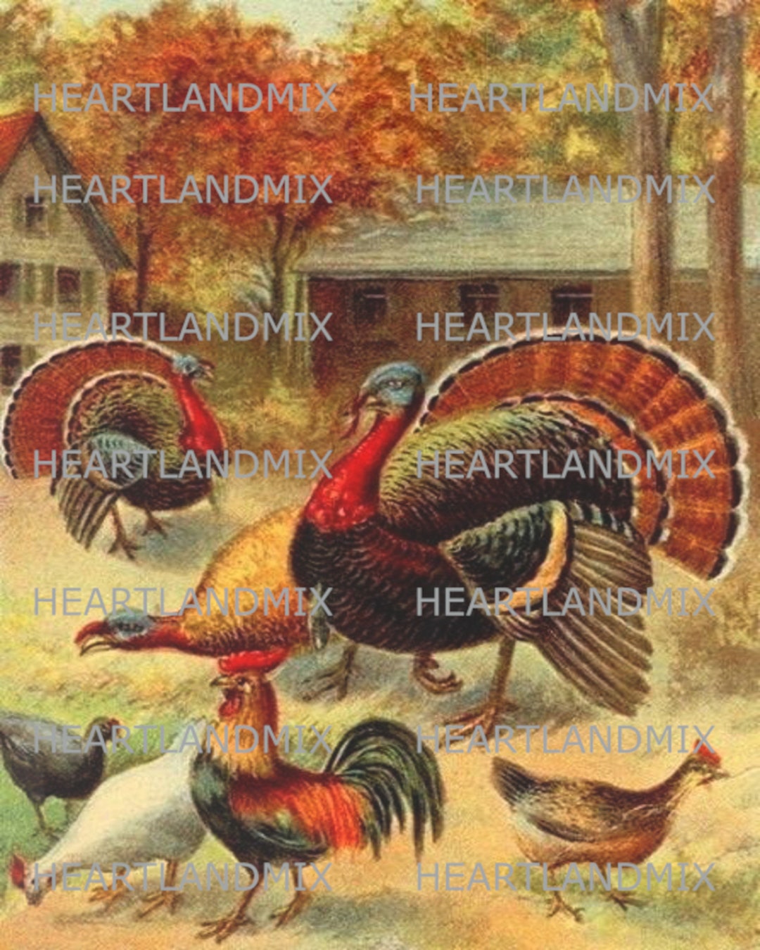 Happy Thanksgiving Turkey Vintage Image Digital Download, Digital ...