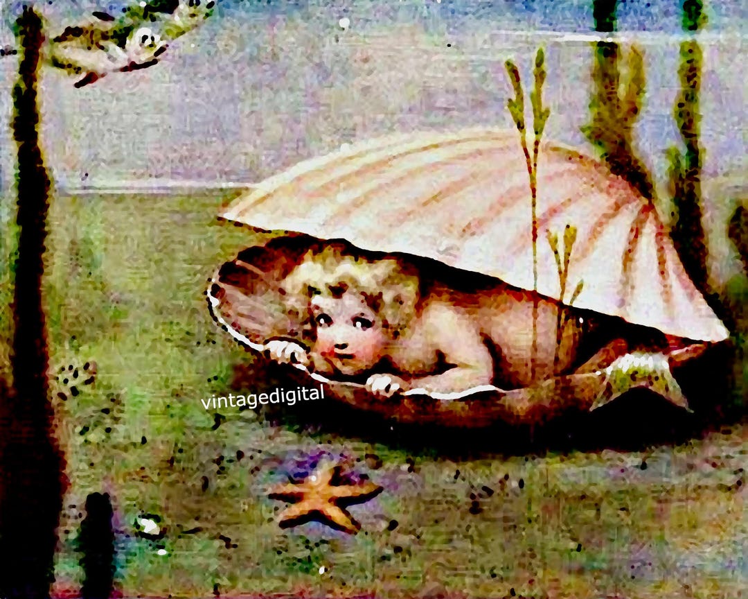 Vintage Baby Mermaid Clam Shell Image: Printable Bathroom Art (digital ...