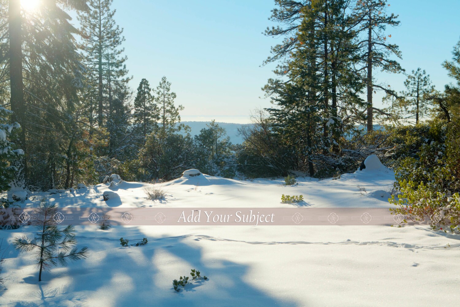 Snow backdrop Digital Backdrop HDR background Snow scene 2 | Etsy