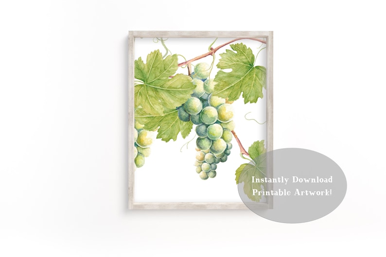Grapevine Art Botanical Artwork Farmhouse Culinary | Etsy