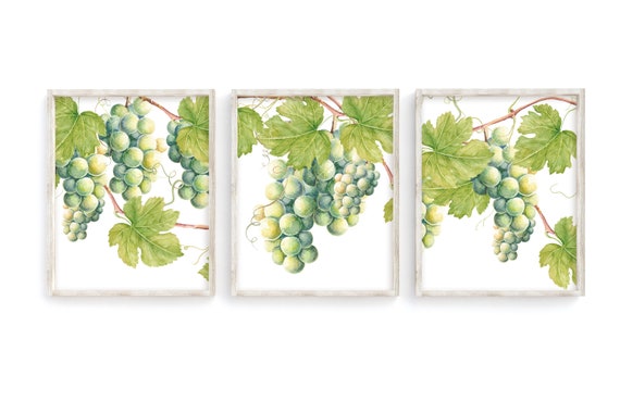 Grapevine Art Botanical Artwork Farmhouse Culinary | Etsy
