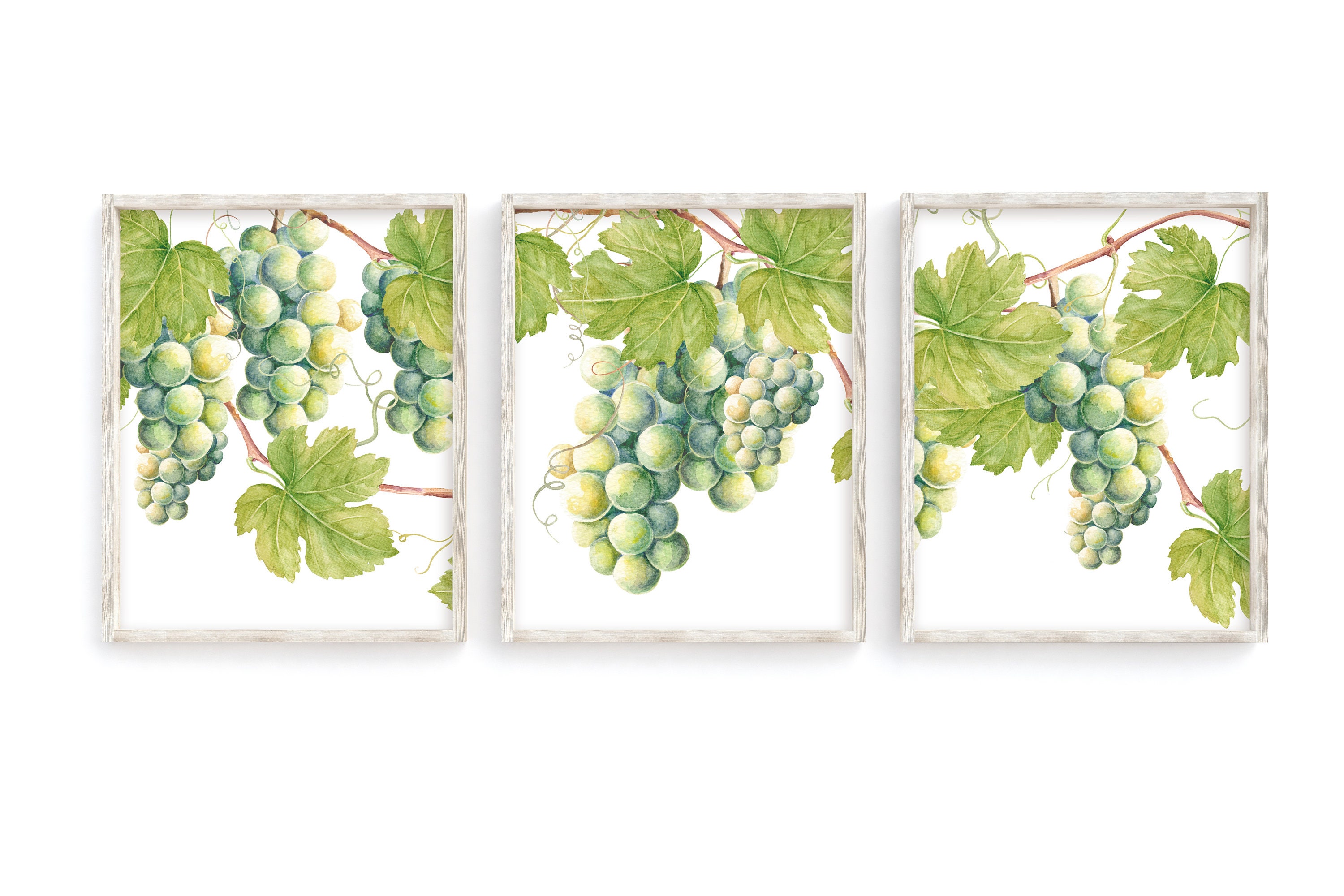 Grapevine art Botanical Artwork Farmhouse Culinary | Etsy