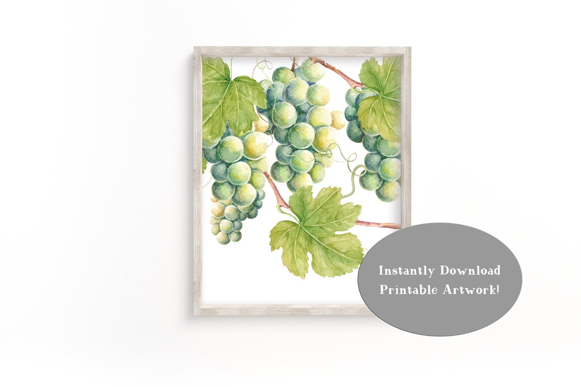 Grapevine Art, Botanical Artwork, Farmhouse, Culinary Illustration ...