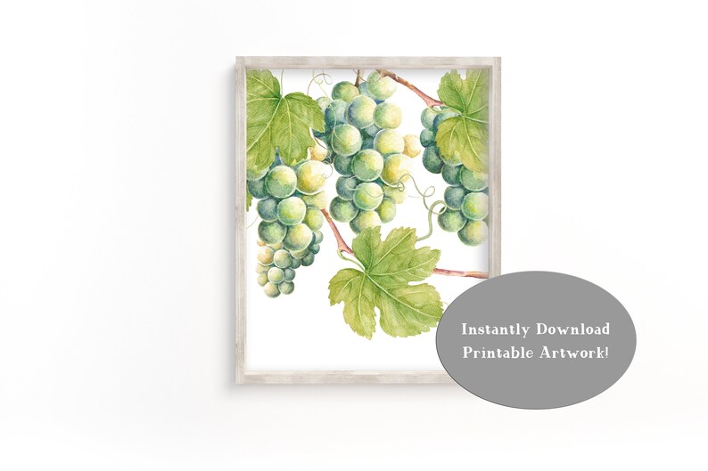 Grapevine Art Botanical Artwork Farmhouse Culinary | Etsy