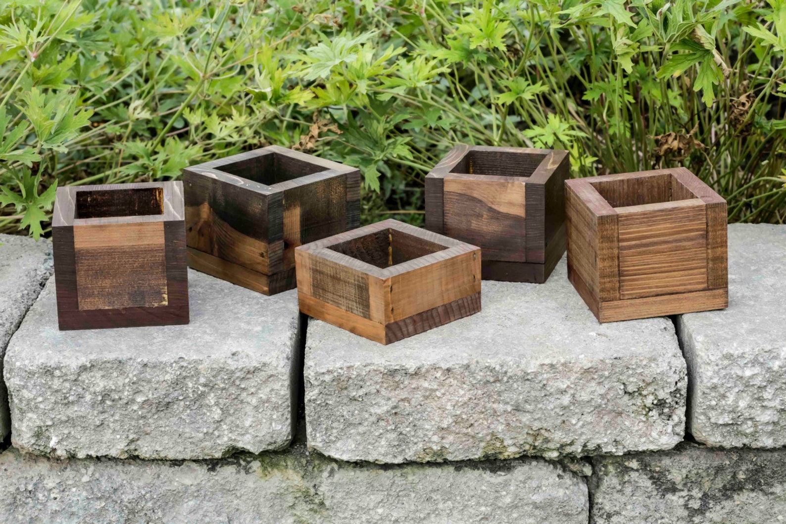 Succulent Planter Rustic Boxes Small Succulent Display Gift | Etsy