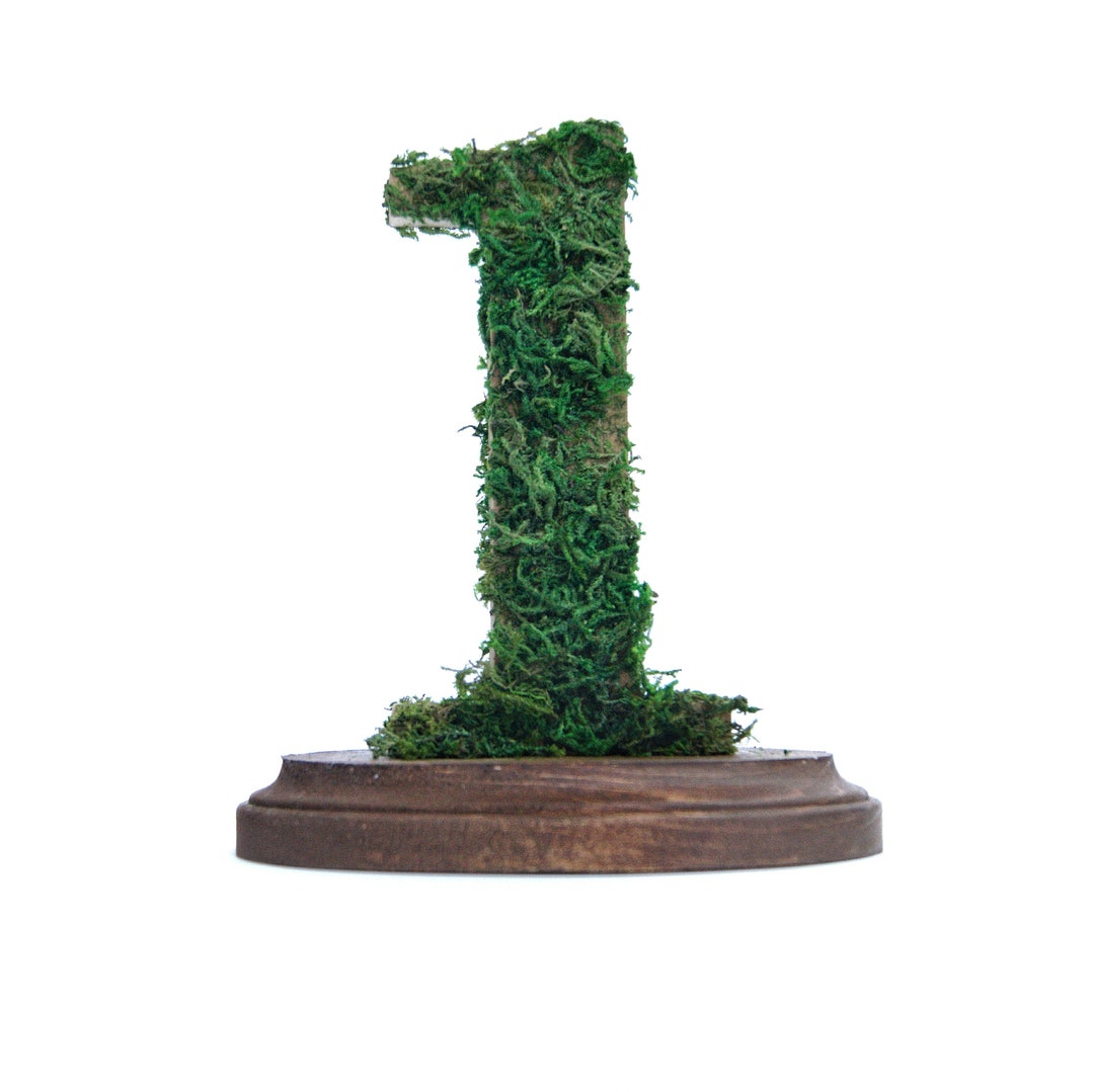 Baby's First Birthday Rustic Moss Number One Wood Stand Center Piece ...