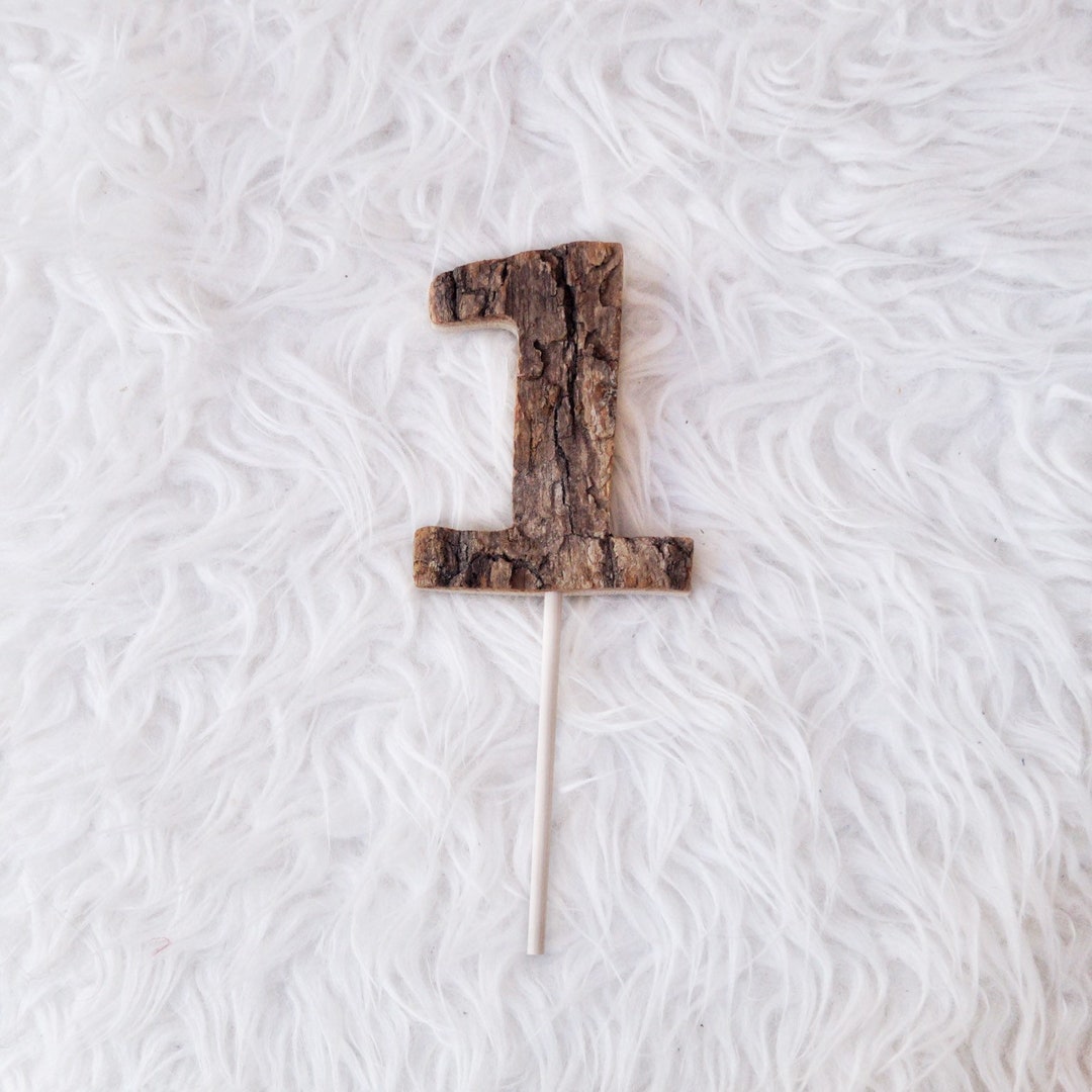 Rustic One Cake Topper, Woodland First Birthday Cake Topper, 1st ...