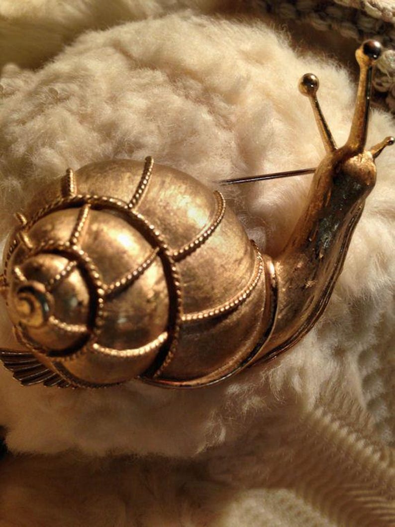 Rare Crown Trifari Gold Tone Snail Shell Pin Brooch - Etsy
