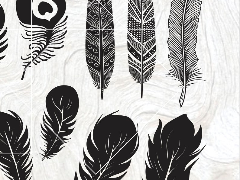 Feather Svg Bundle, Feather Vector Pack, Birds Feather Clipart, Feather ...