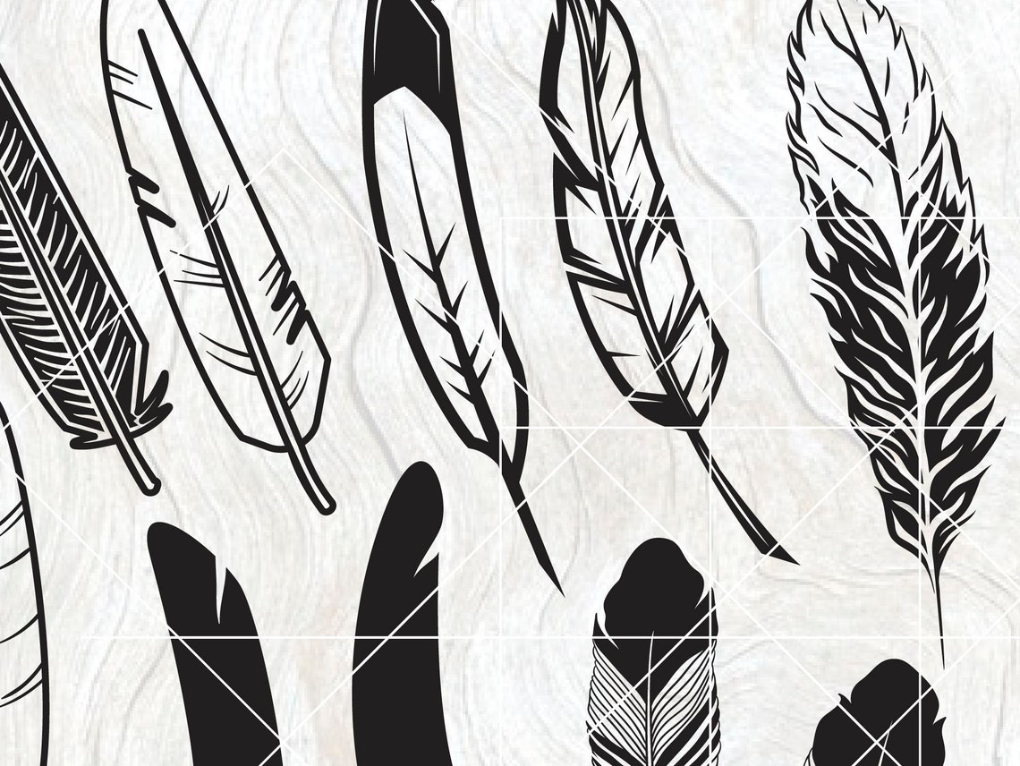 Feather Svg Bundle Feather Vector Pack Birds Feather - Etsy