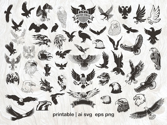 Eagle Vector Pack Clipart 55 Eagles Eagle Svg Available for - Etsy