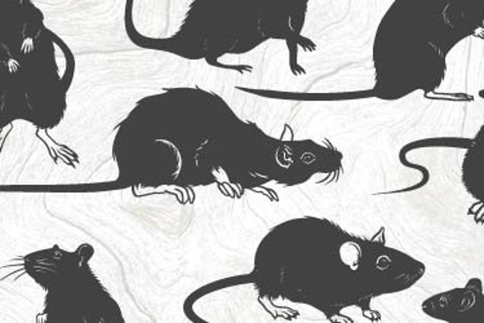 Rat SVG, 16 Options Vector Rats Pack, Linocut Stile Clipart, Animal Svg ...