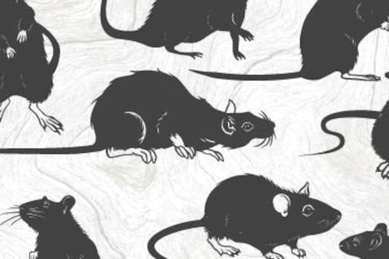 Rat SVG, 16 Options Vector Rats Pack, Linocut Stile Clipart, Animal Svg ...