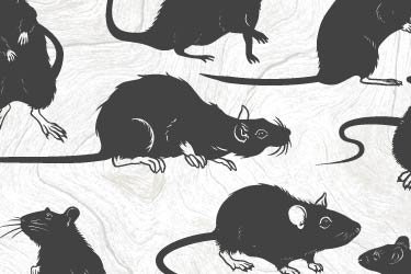 Rat SVG, 16 Options Vector Rats Pack, Linocut Stile Clipart, Animal Svg ...