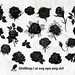 Rose SVG Bundle, 19 Options, Rose Silhouette, Black Rose Svg Pack, Boho ...