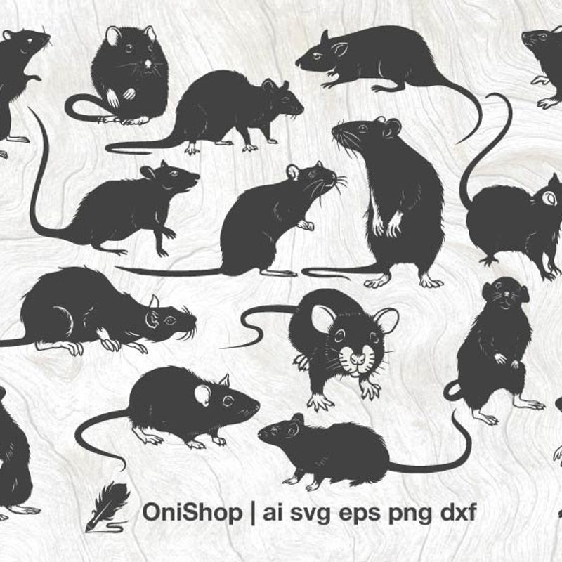 Mouse Rat Svg - Etsy
