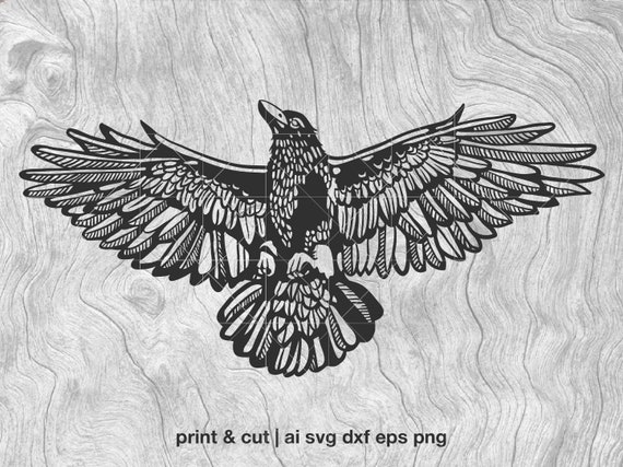 Raben Fliegende Skizze