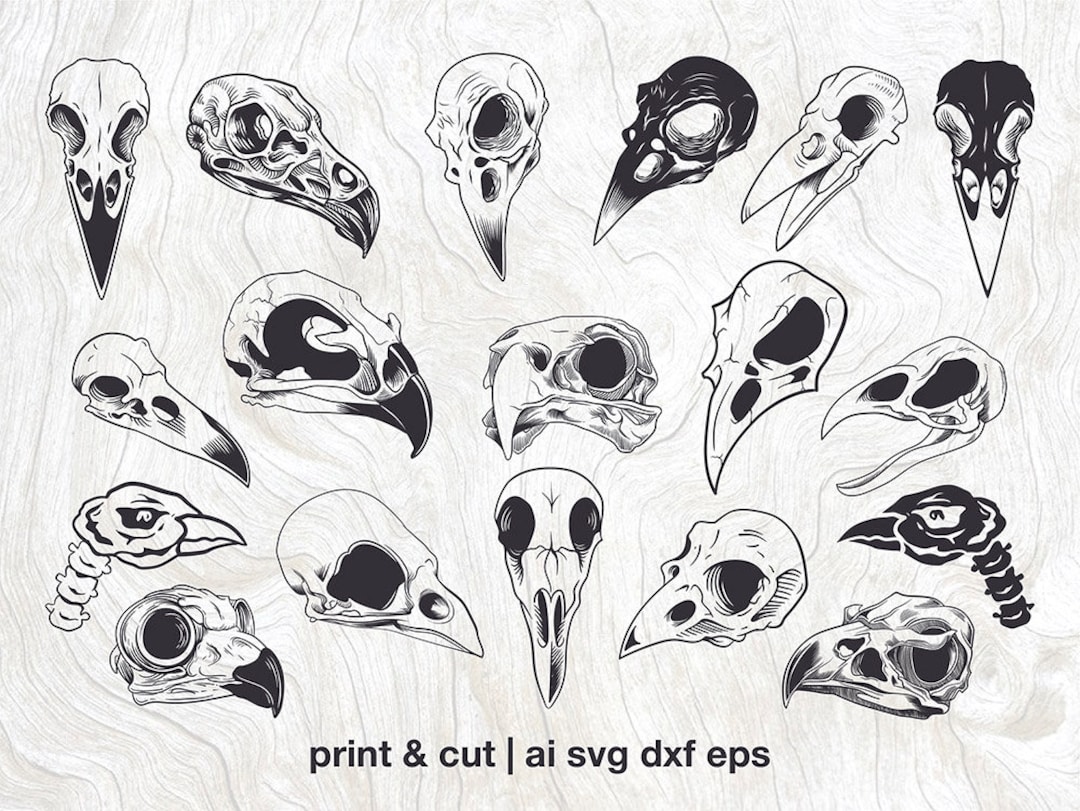Bird Skull Svg Bundle, Raven Vector, Bird Head Dxf, Eagle Skull Cut ...