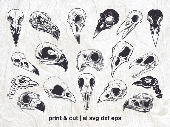 Bird Skull Svg Bundle Raven Vector Bird Head Dxf Eagle - Etsy UK