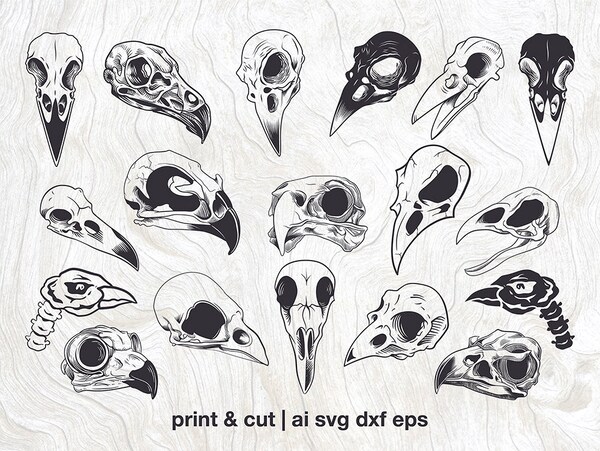 Bird SVG Bundle, Birds SVG, SVG Files for Cricut, Instant Download ...