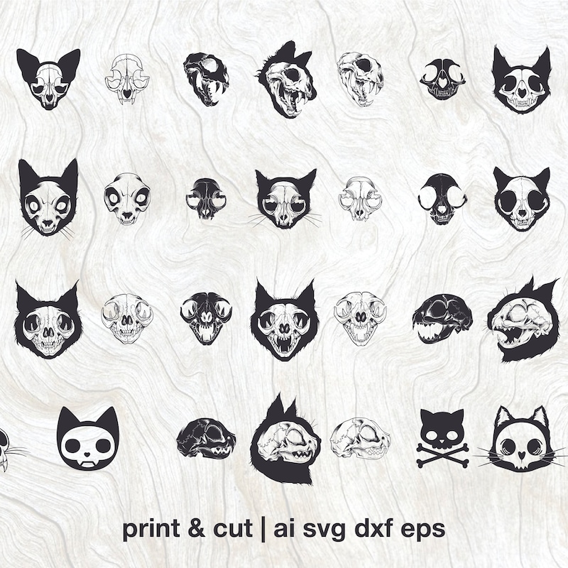 Animal Skull Art - Etsy