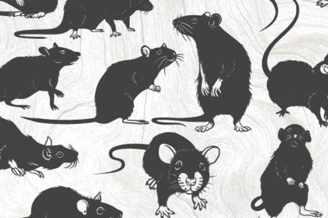 Rat SVG, 16 Options Vector Rats Pack, Linocut Stile Clipart, Animal Svg ...