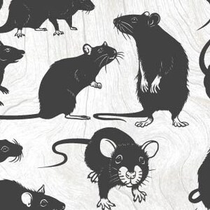 Rat SVG, 16 Options Vector Rats Pack, Linocut Stile Clipart, Animal Svg ...