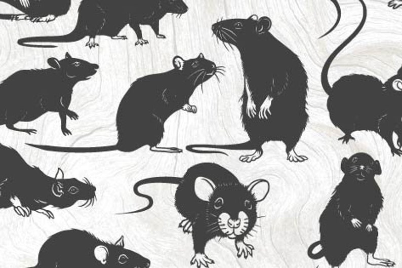 Rat SVG, 16 Options Vector Rats Pack, Linocut Stile Clipart, Animal Svg ...